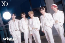 XD | Kpop Wiki | Fandom