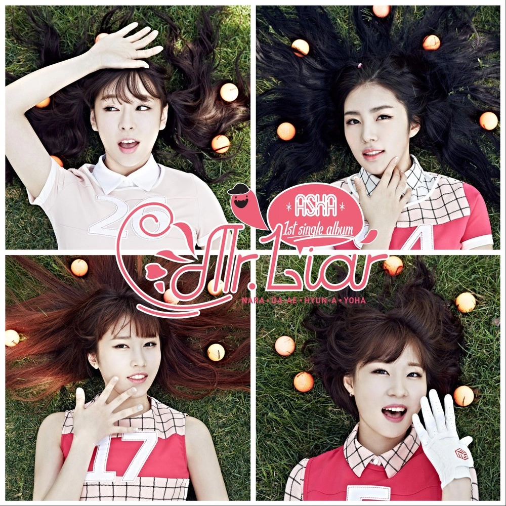 Mr. Liar | Kpop Wiki | Fandom