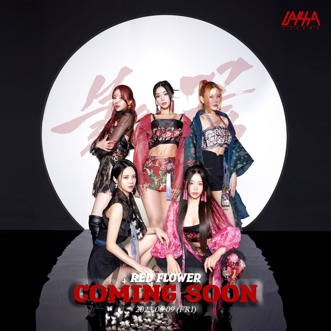Laysha Kpop Wiki Fandom