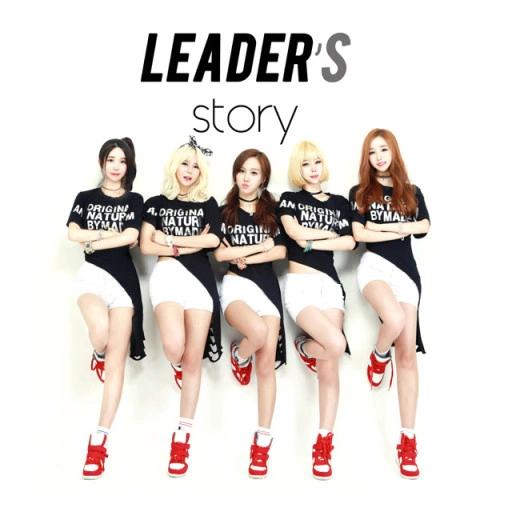 Leader'S Story | Kpop Wiki | Fandom