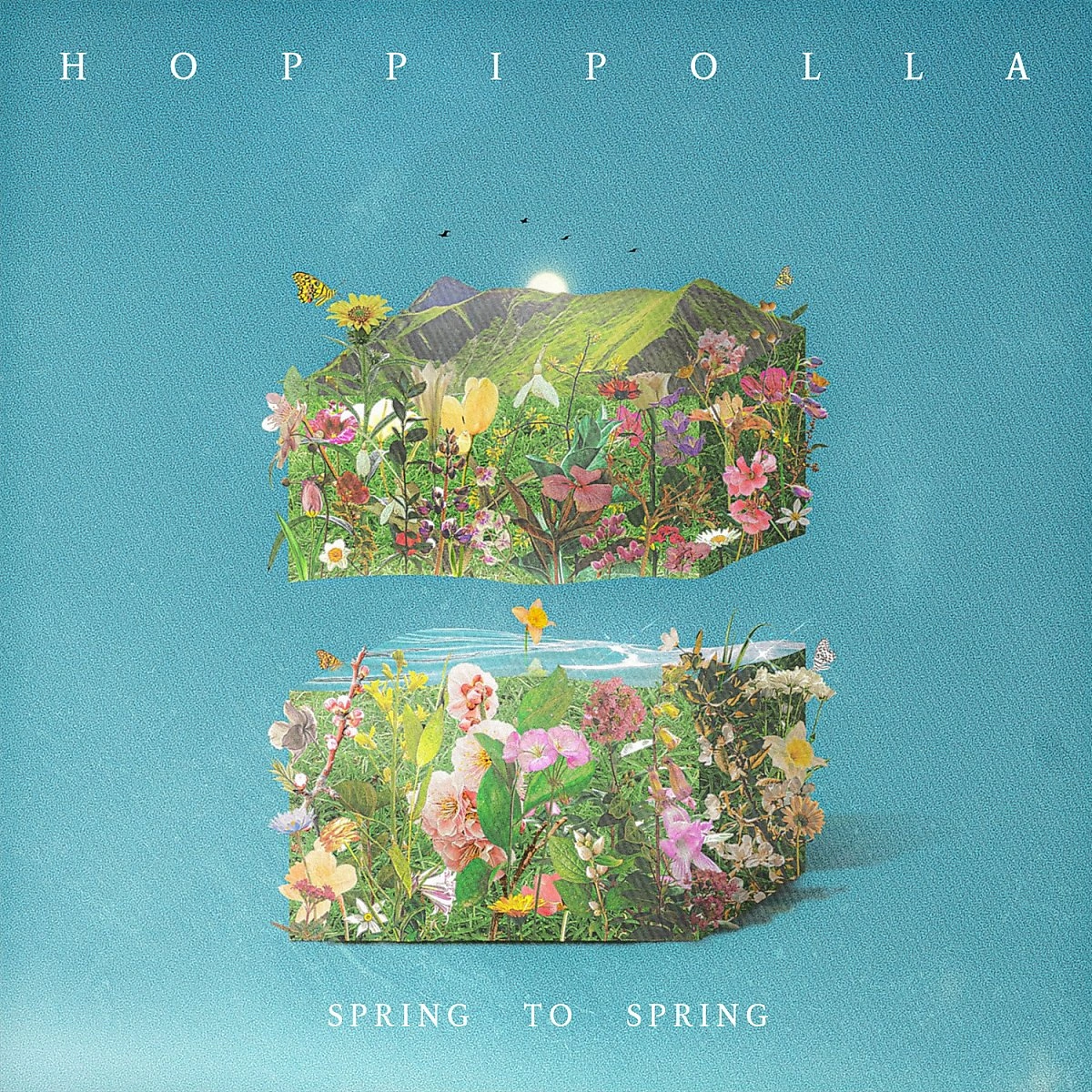 Spring to Spring | Kpop Wiki | Fandom