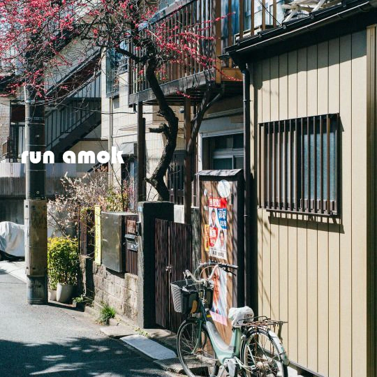 Run Amok (song) | Kpop fanon Wiki | Fandom