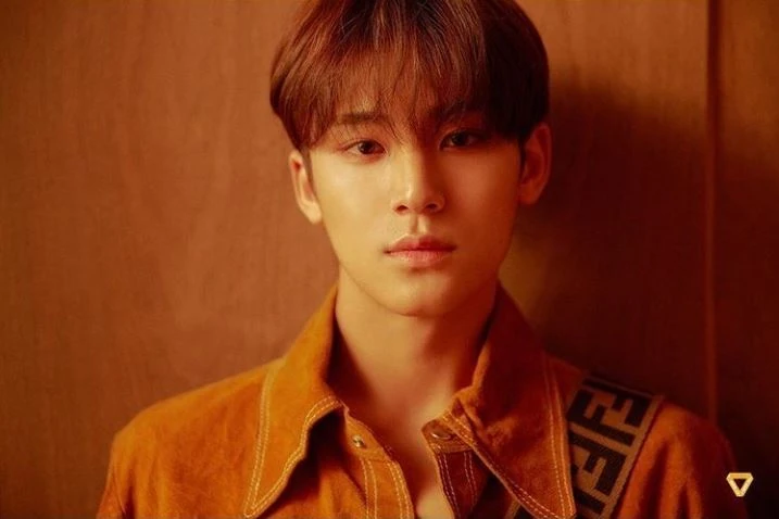 Mingyu | Kpopprofiles Wiki | Fandom