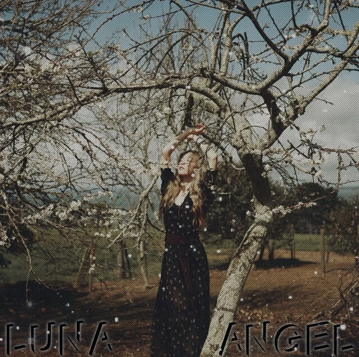 LUNA (ANGEL) | Kprofilesofficial Wiki | Fandom