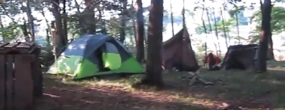 Turgid Swamp | Kroopapedia Wiki | Fandom