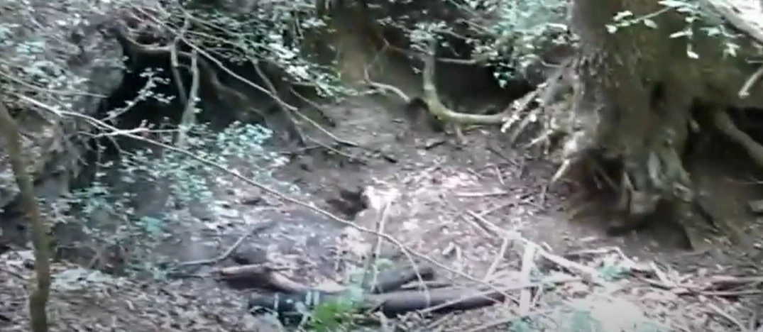 Pit of Death | Kroopapedia Wiki | Fandom