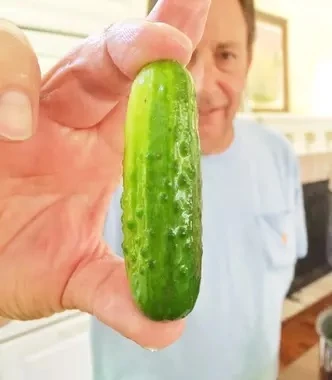 Pickle | Kroopapedia Wiki | Fandom