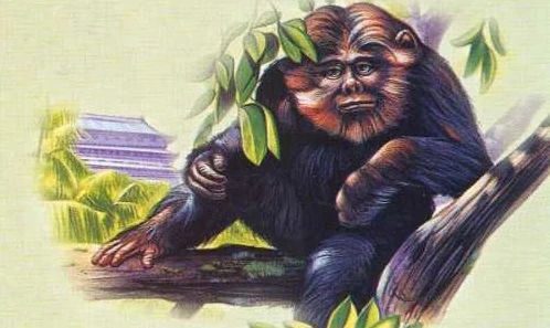 Yeren | Rätselhafte Kreaturen Wiki | Fandom