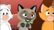 Squeaky | Krypto the Superdog Wiki | Fandom