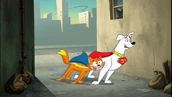 Catopia/Gallery | Krypto the Superdog Wiki | Fandom