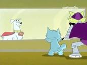 Catopia/Gallery | Krypto the Superdog Wiki | Fandom