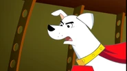 Catopia/Gallery | Krypto the Superdog Wiki | Fandom