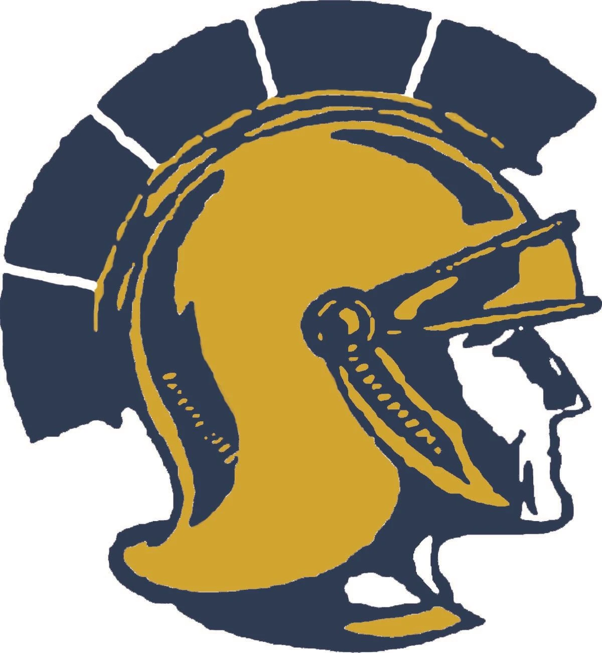 2020 Wichita Collegiate Spartans Football Team | Kansas High School ...