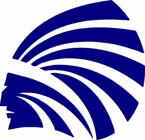 2020 Manhattan Indians Football Team | Kansas High School Athletics ...