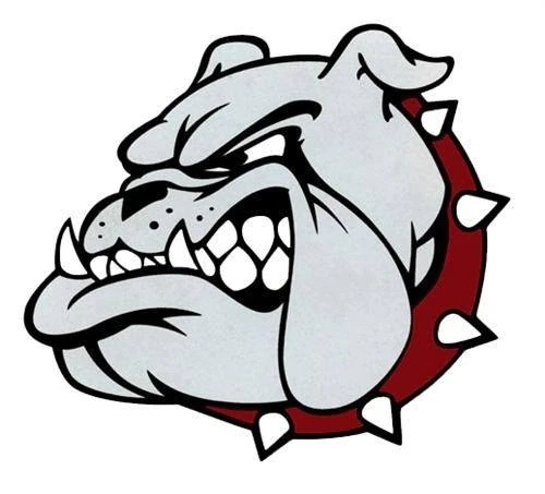 2020 Anderson County Bulldogs Football Team | Kansas High School ...