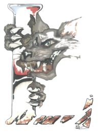 2022 Lebo Wolves Football Team | Kansas High School Athletics Wiki | Fandom