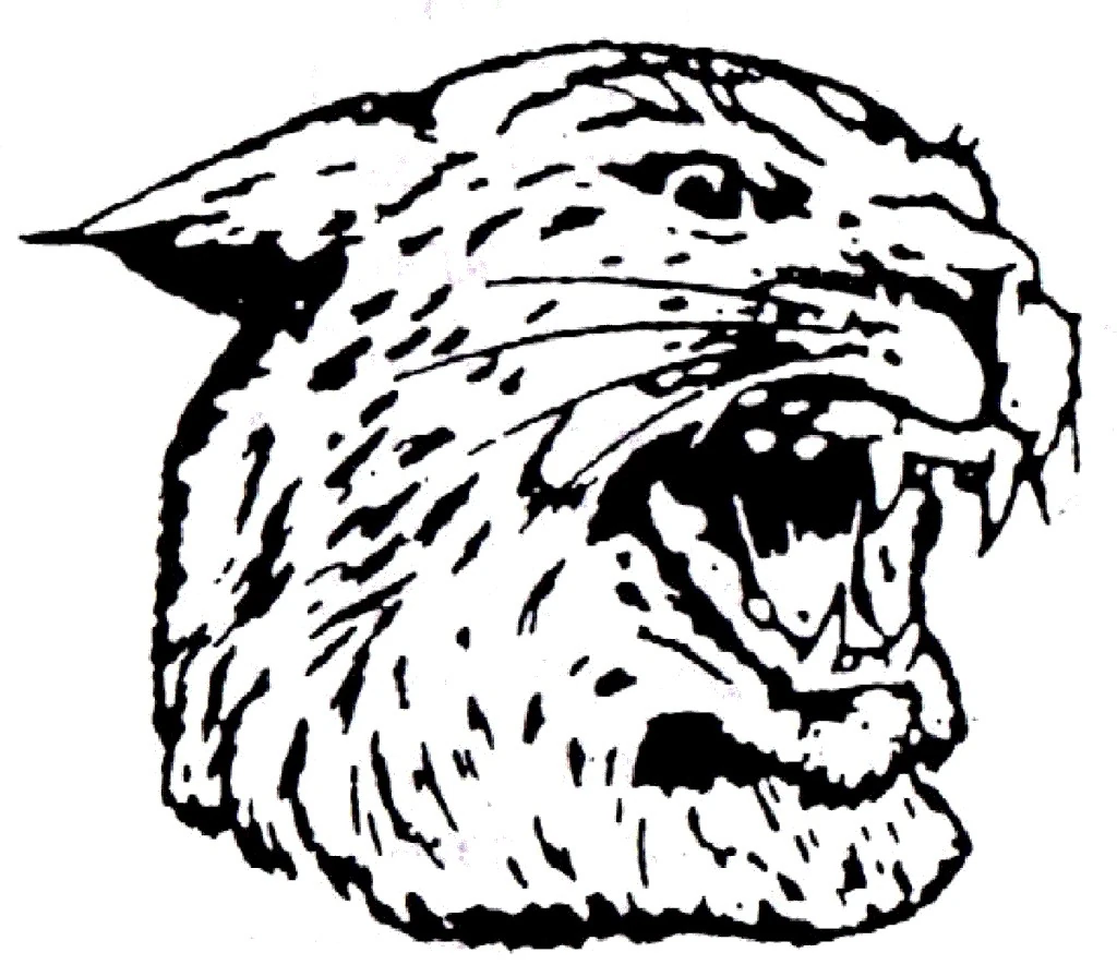 2020 Northern Heights Wildcats Football Team | Kansas High School ...