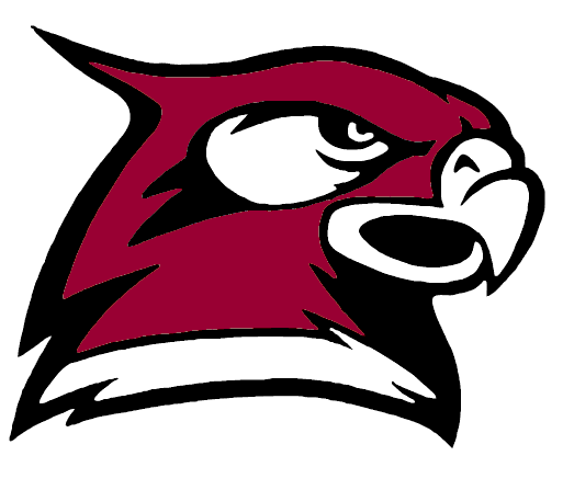 2020 Hill City Ringnecks Football Team | Kansas High School Athletics ...