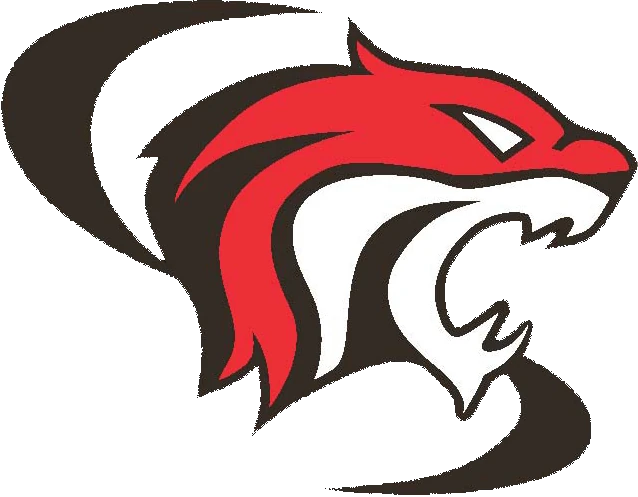 2022 Washington County Tigers Football Team | Kansas High School ...