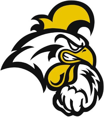 2022 Palco Roosters Girl's Track & Field Team | Kansas High School ...