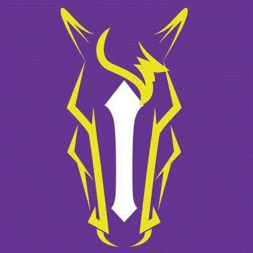 2020 Spring Hill Broncos Football Team | Kansas High School Athletics ...