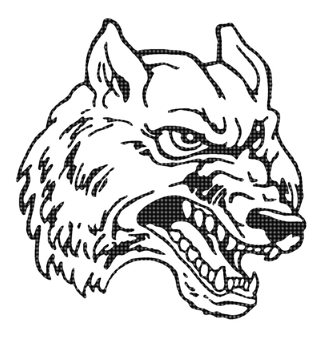 2020 South Central Timberwolves Football Team | Kansas High School ...