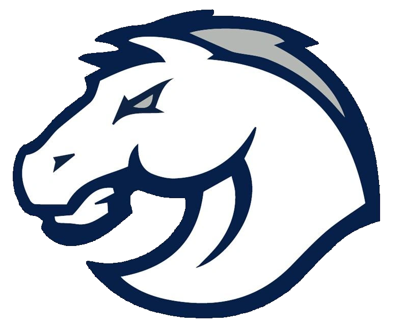 2021 Blue Valley North Mustangs Volleyball Team | Kansas High School ...