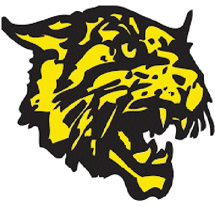 2020 Moscow Wildcats Football Team | Kansas High School Athletics Wiki ...