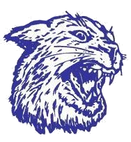 2024 Holton Wildcats Volleyball Team | Kansas High School Athletics ...
