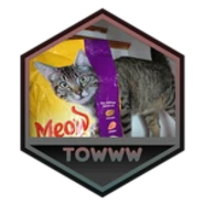 Tower of Wildly Wacky Wonders | Juke's Towers of Hell Wiki | Fandom