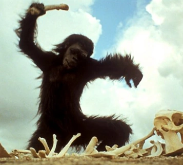 Moonwatcher | Kubrick Wiki | Fandom