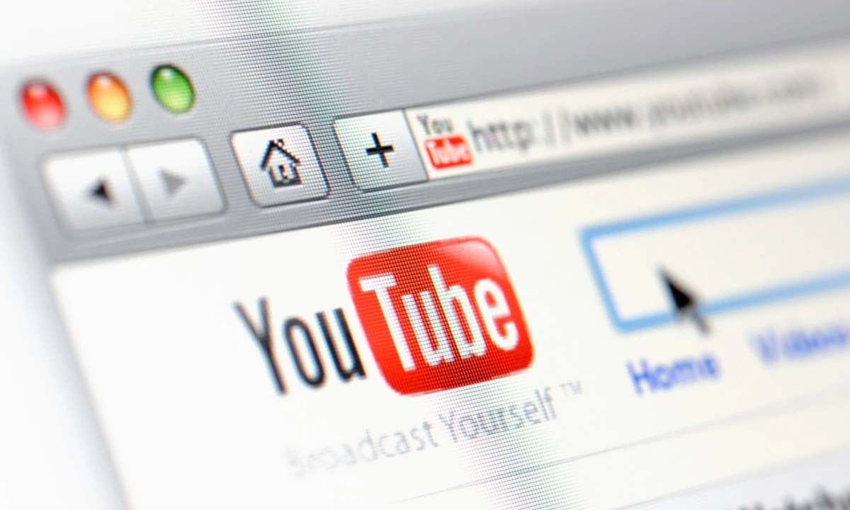 Kategoria:Strona główna | Kuce z Bronksu Wiki | Fandom