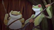 Arabanoo | Kulipari an army of frogs Wiki | Fandom