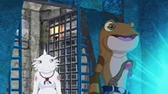 Darel | Kulipari an army of frogs Wiki | Fandom