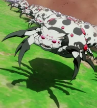 Taratect | So I'm a Spider, So What? Wiki | Fandom