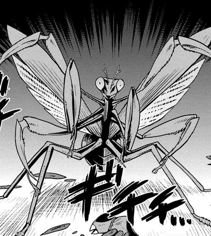 Elroe Greshigard | Kumo Desu ga, Nani Ka? Wiki | Fandom