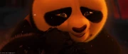Po's mother | Kung Fu Panda Wiki | Fandom