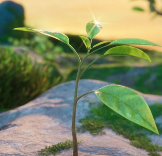Third peach sapling | Kung Fu Panda Wiki | Fandom Third peach sapling | Kung Fu Panda Wiki | Fandom