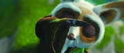 Shifu | Kung Fu Panda Wiki | Fandom