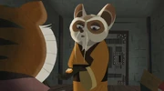 Shifu | Kung Fu Panda Wiki | Fandom