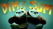 Dim | Kung Fu Panda Wiki | Fandom