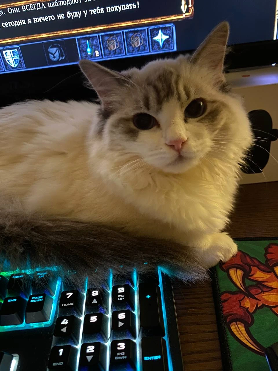 Муся | Kuplinov Вики | Fandom