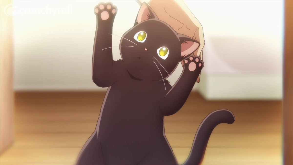 Nyamero | Kurikami Wiki | Fandom