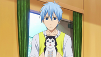 Tetsuya Kuroko | Kuroko no Basuke Wiki | Fandom