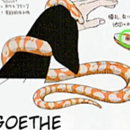 Goethe | Kuroshitsuji Wiki Italia | Fandom