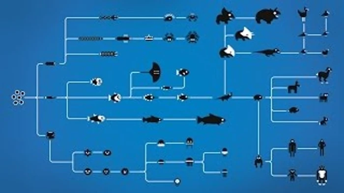How Evolution works | Kurzgesagt YouTube Channel Wiki | Fandom How Evolution works | Kurzgesagt YouTube Channel Wiki | Fandom