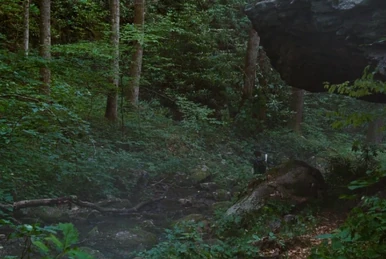 74th Hunger Games | Kvrtzz THG Wiki | Fandom