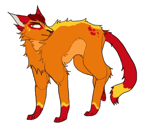 Conner | KyaaPokemon Wiki | Fandom