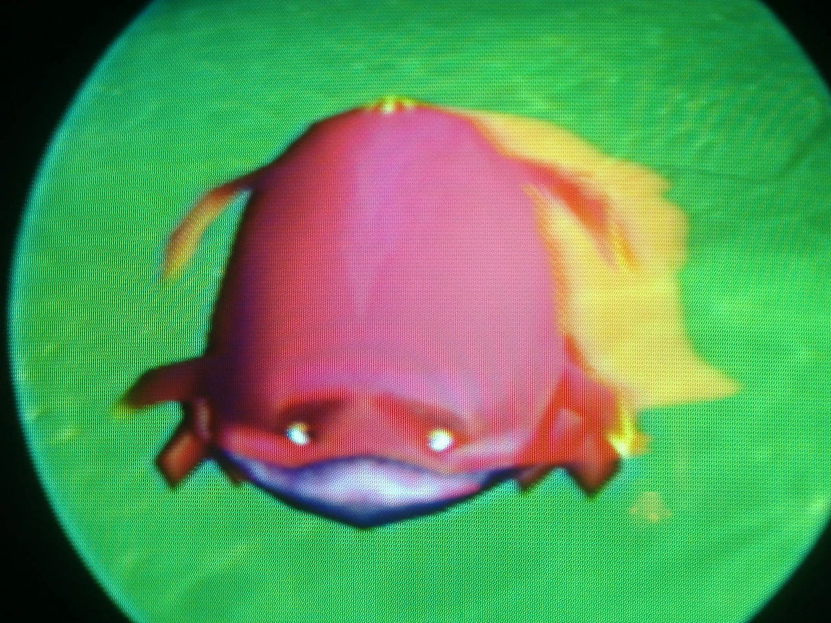 Micken | Kya Dark Lineage | Fandom