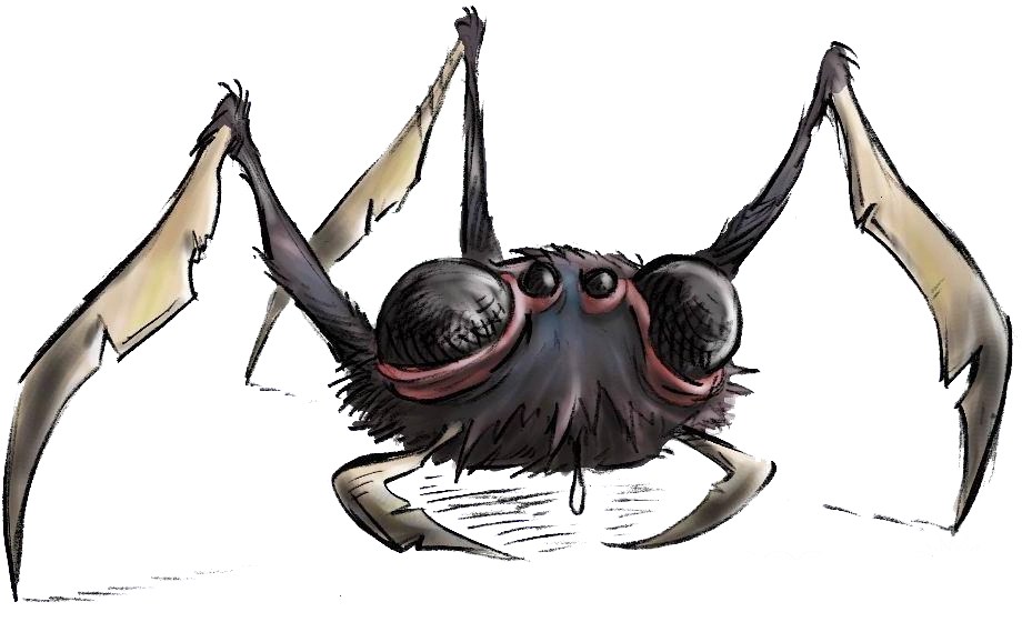 Spider | Kya Dark Lineage | Fandom